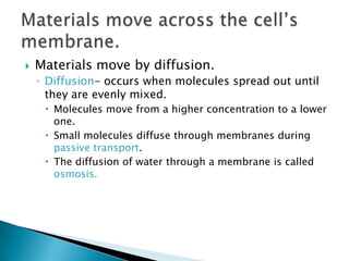 Cells chapter 2 review | PPTX | Biological Sciences | Science