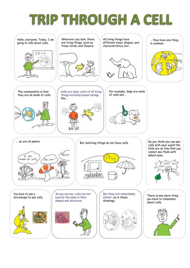 Cells comic | PDF | Comedy | Genres