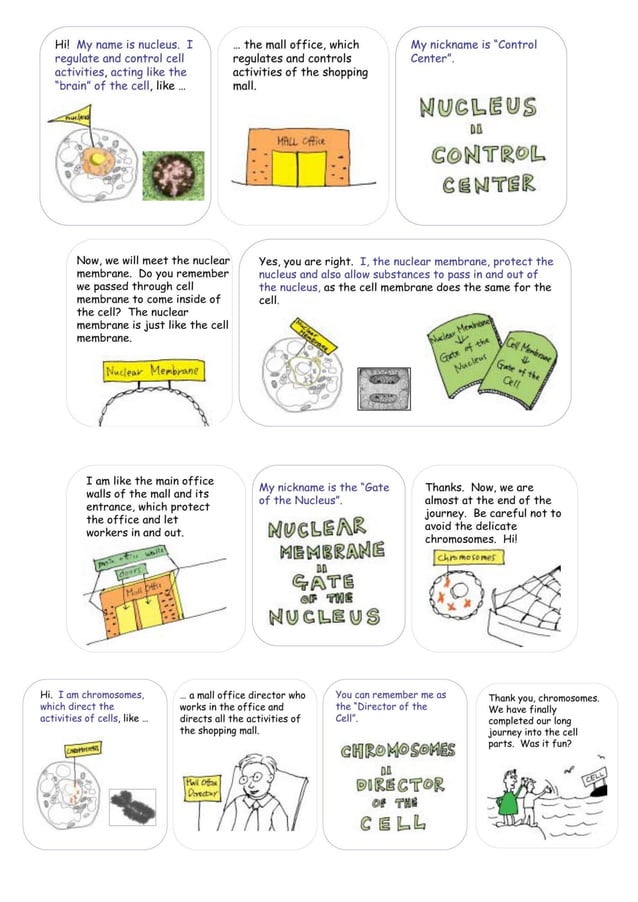 Cells comic | PDF | Comedy | Genres