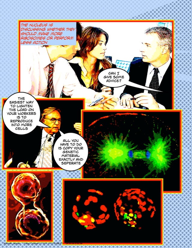 Cells comic life storyline 1 | PDF