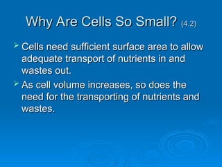 Structure of Cell and its functions in life | PPT