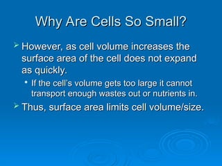 Structure of Cell and its functions in life | PPT