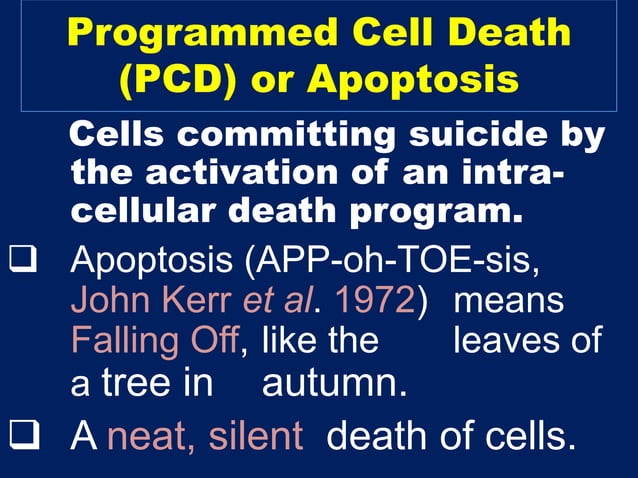 Cell senescence and Apoptosis (PCD) | PPSX