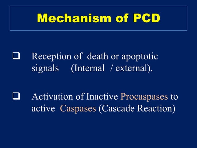 Cell senescence and Apoptosis (PCD) | PPSX
