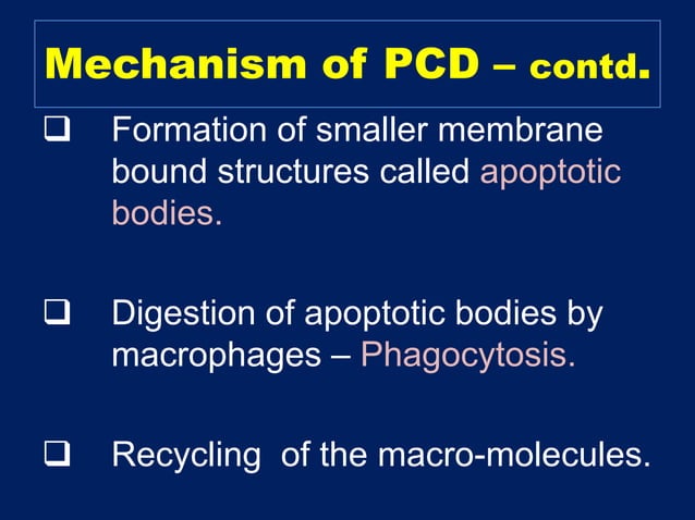 Cell senescence and Apoptosis (PCD) | PPSX