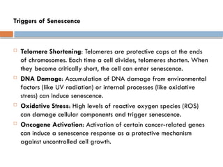 Cell Senescence - Introduction by Dr.M.Jothimuniyandi | PPT