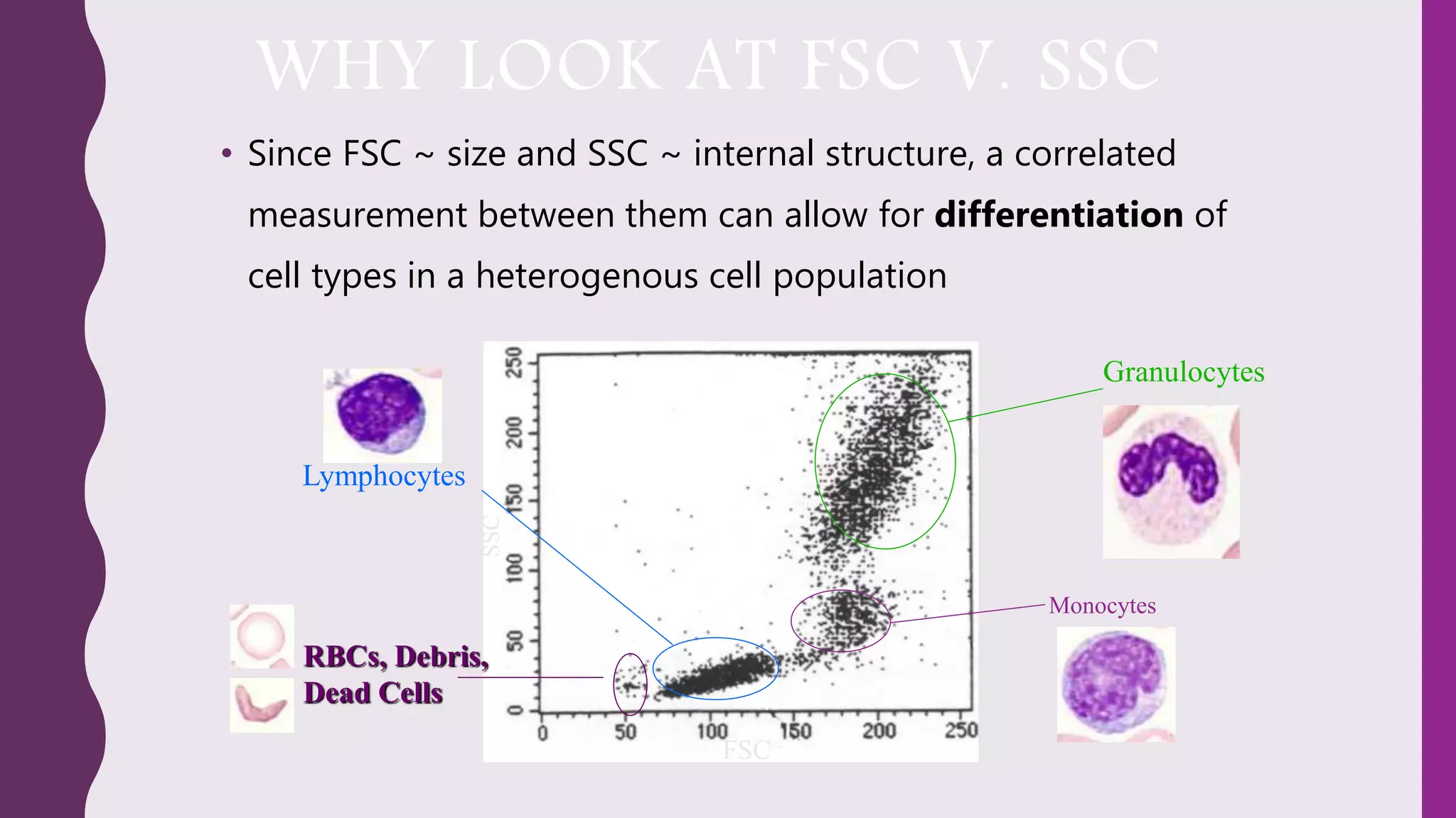 Cell sepration and flowcytometry | PPTX