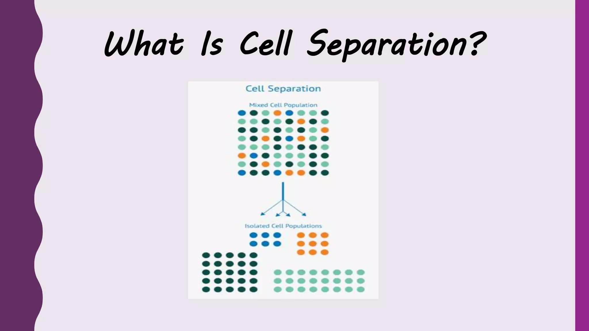 Cell sepration and flowcytometry | PPTX