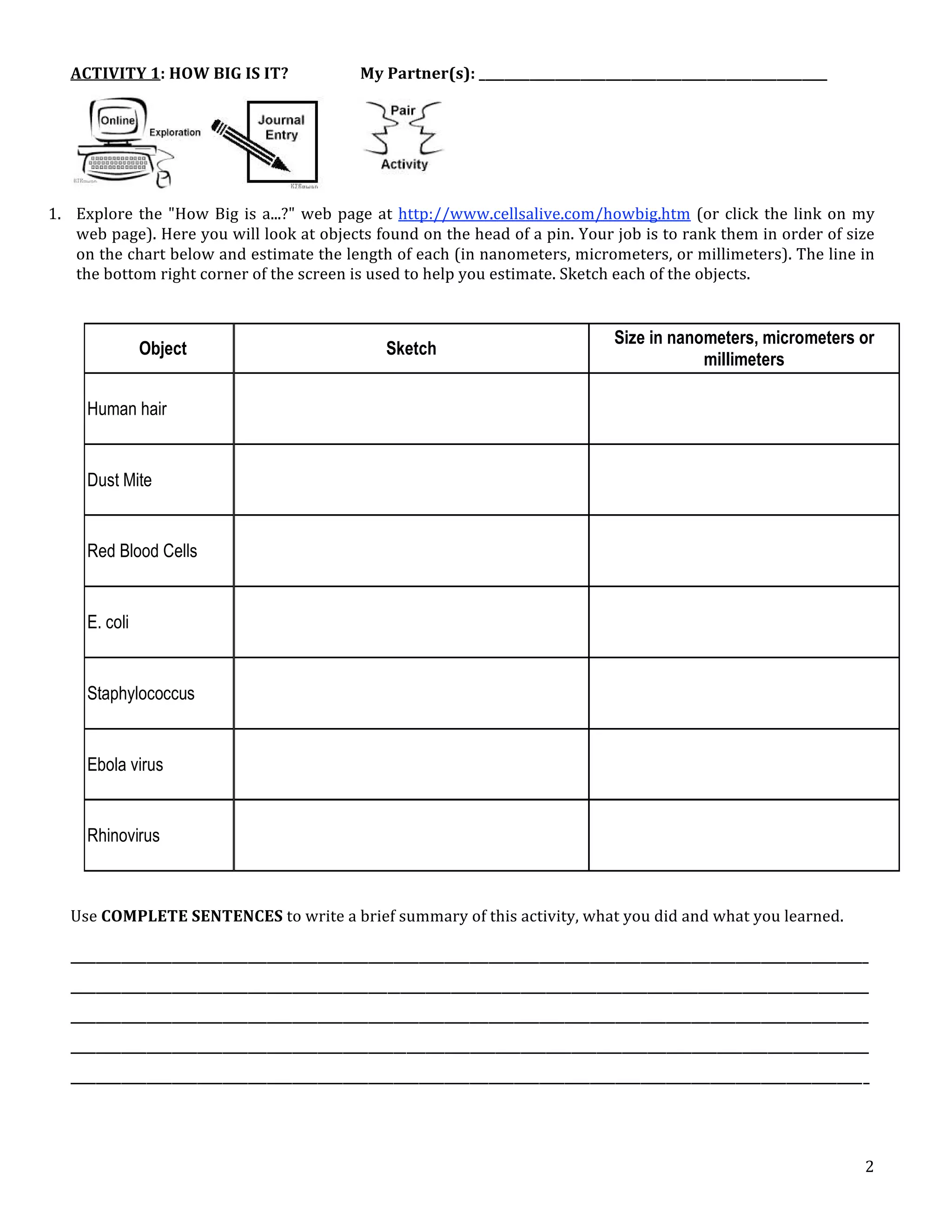 cells_exploration_activities.pdf