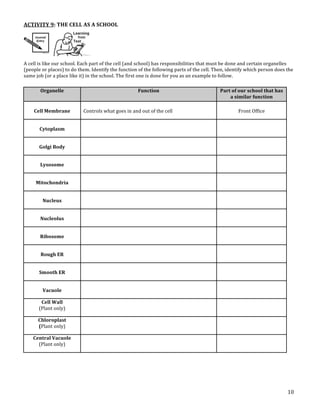 cells_exploration_activities.pdf