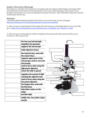 cells_exploration_activities.pdf