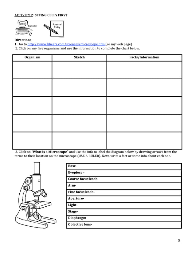 cells_exploration_activities.pdf | Homework and Study | Education