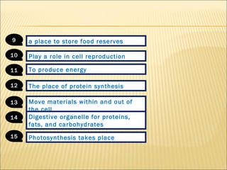 Grade 7 - Cells, Functions of Organels | PPT