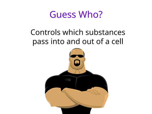 CellsGuessWhoGame-1- Organelles and Functions.pptx