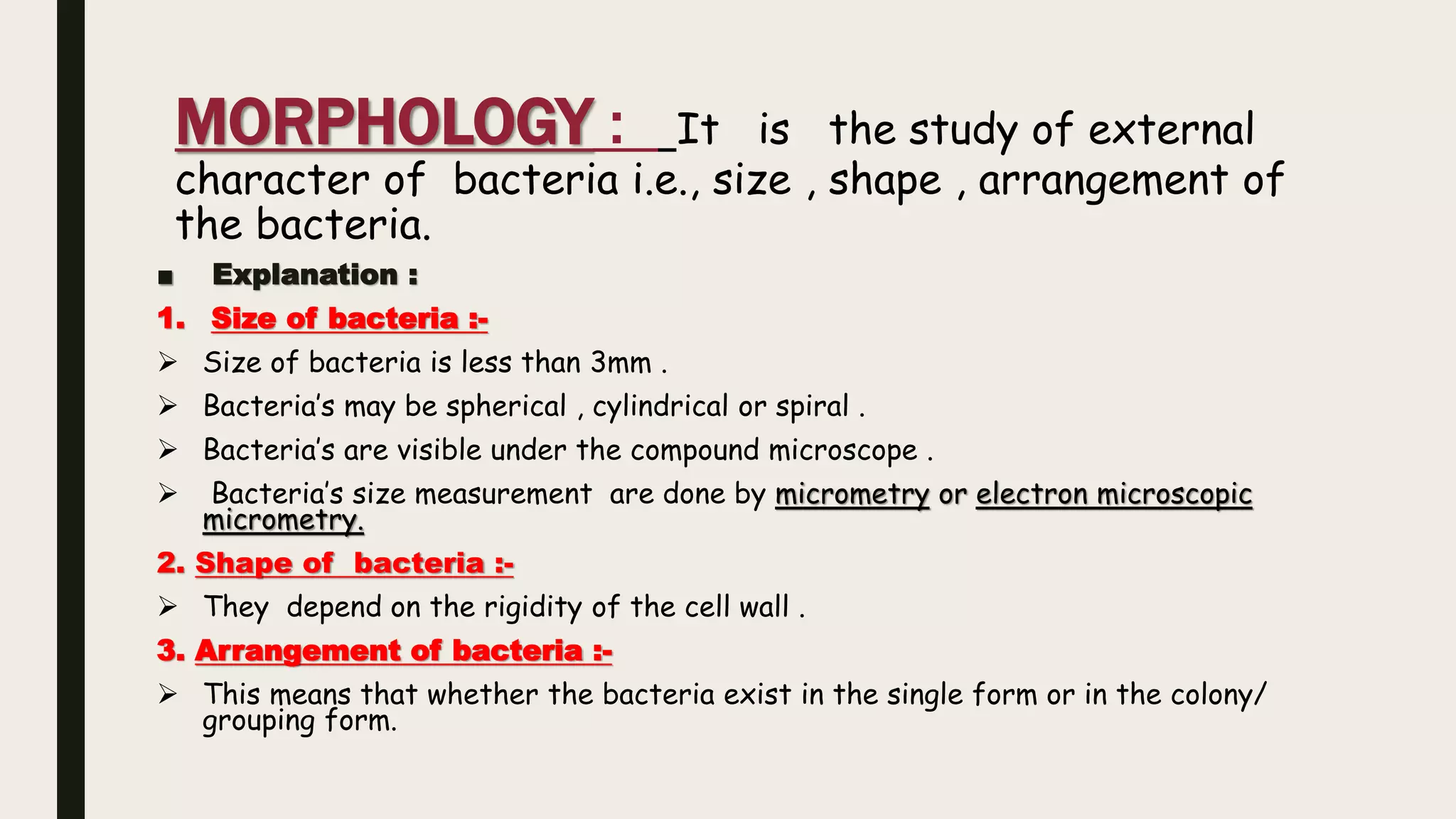 Classification of Bacteria | PPTX