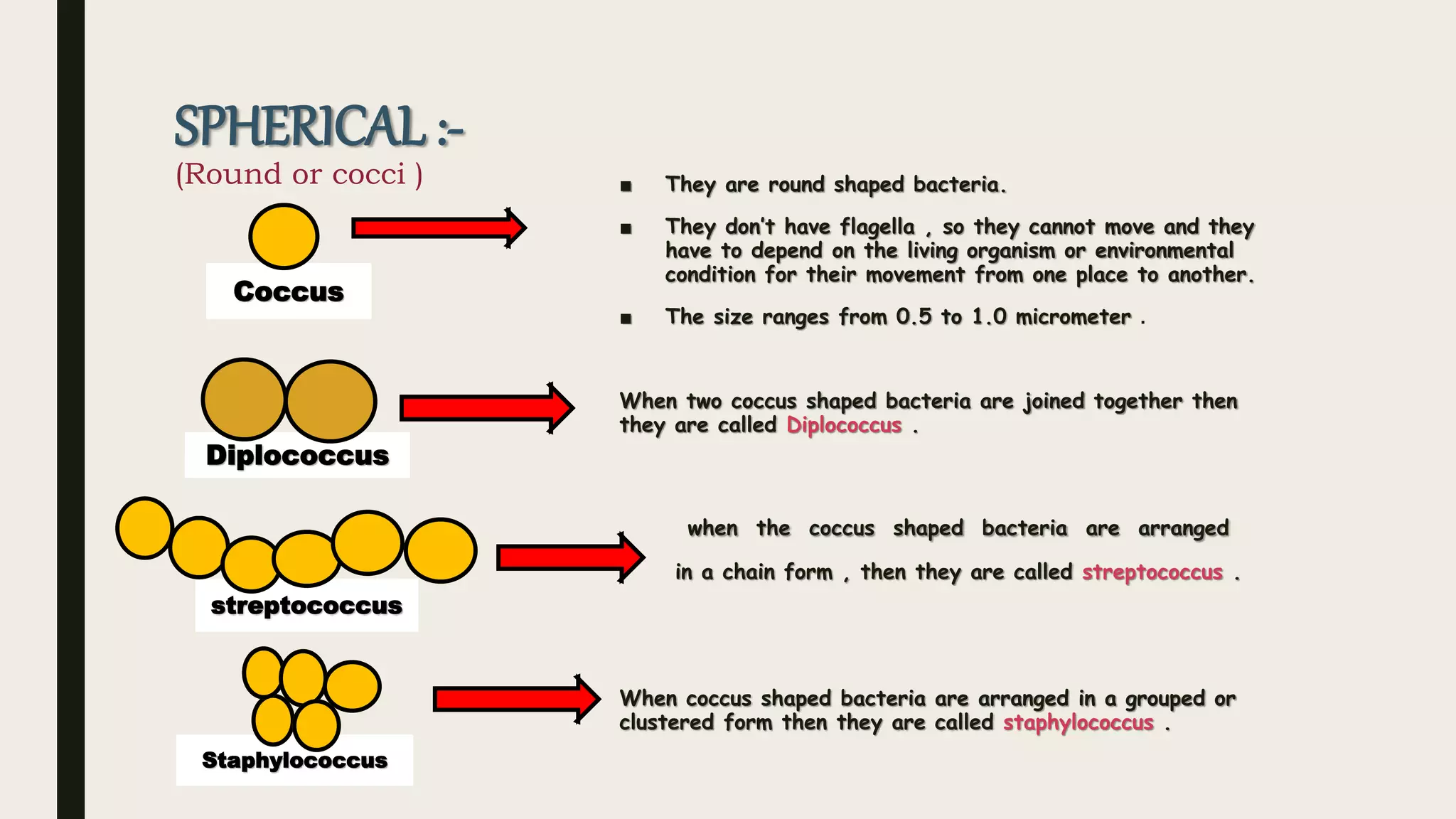 Classification of Bacteria | PPTX