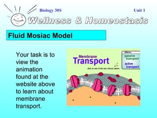 Cells & Homeostasis | PPT