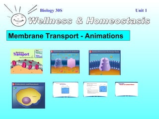 Cells & Homeostasis | PPT