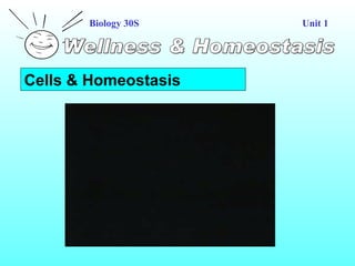 Cells & Homeostasis | PPT