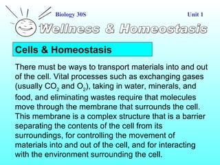 Cells & Homeostasis | PPT