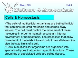 Cells & Homeostasis | PPT