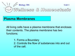 Cells & Homeostasis | PPT