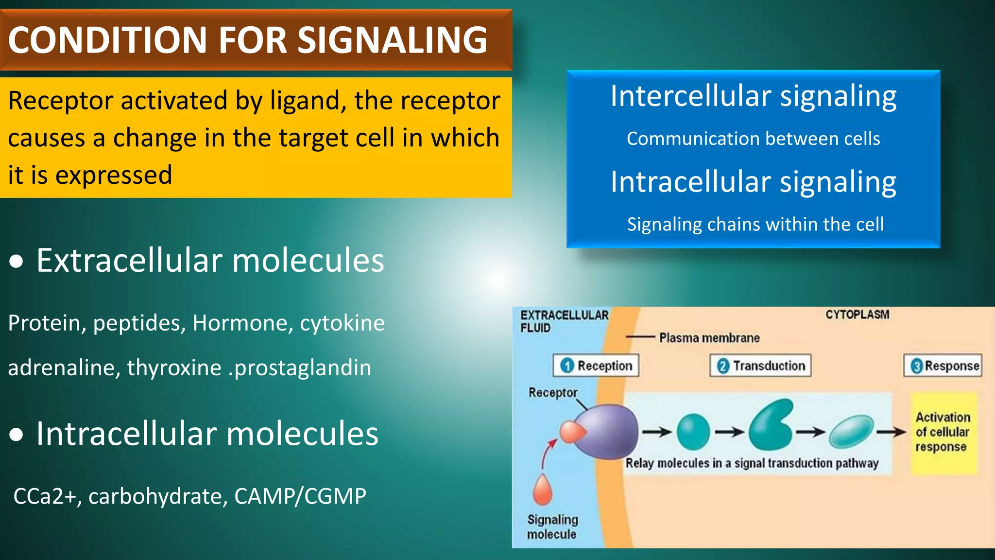 Cell signaling Part-1 | PPTX