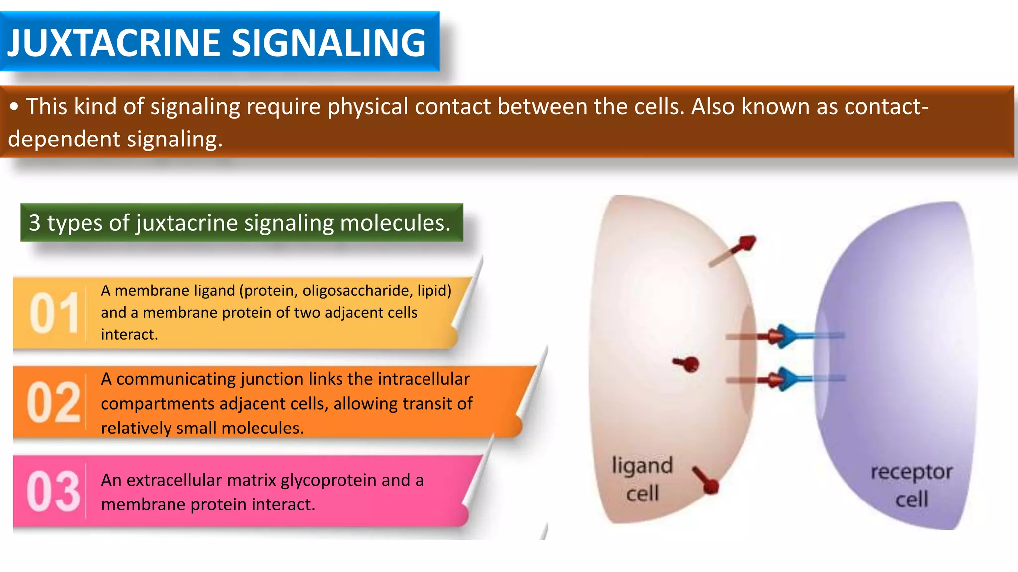 Cell signaling Part-1 | PPTX