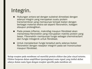Cell signal dan kortikosteroid | PPT