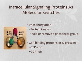 Cell signaling | PPT