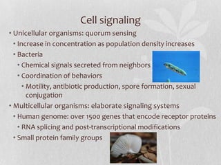 Cell signaling | PPT