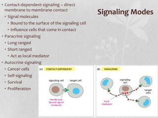 Cell signaling | PPT