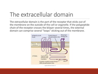 Cell signaling | PPTX