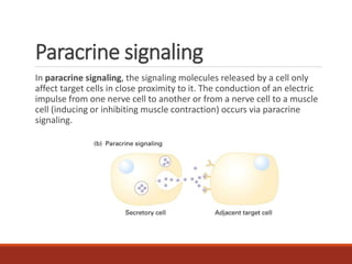 Cell signaling | PPTX