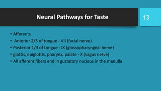 Taste Receptor | PPTX