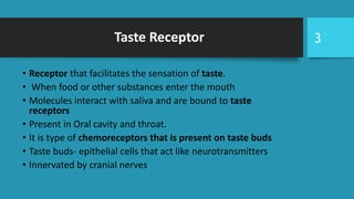 Taste Receptor | PPTX