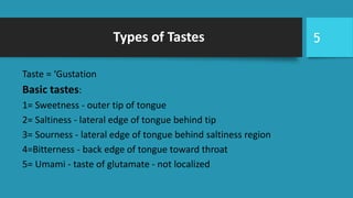 Taste Receptor | PPTX