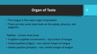 Taste Receptor | PPTX