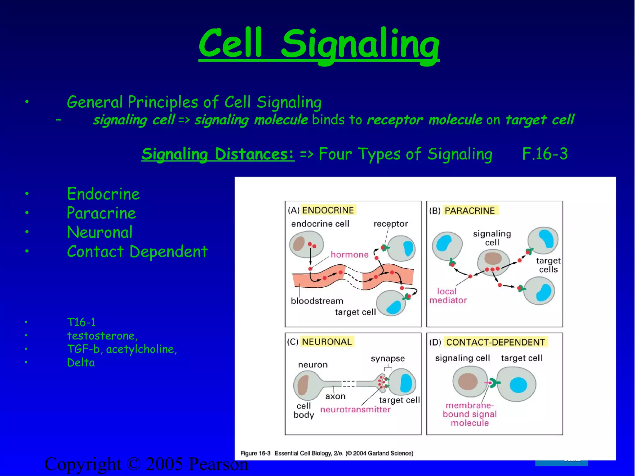 Cell signaling | PPT