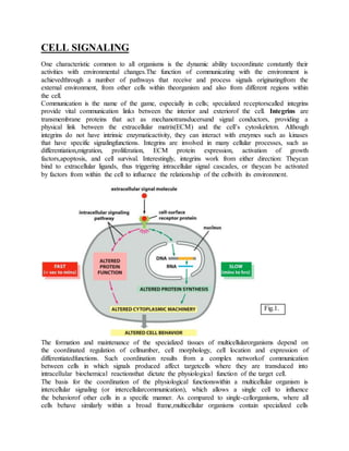 Cell signaling | DOCX