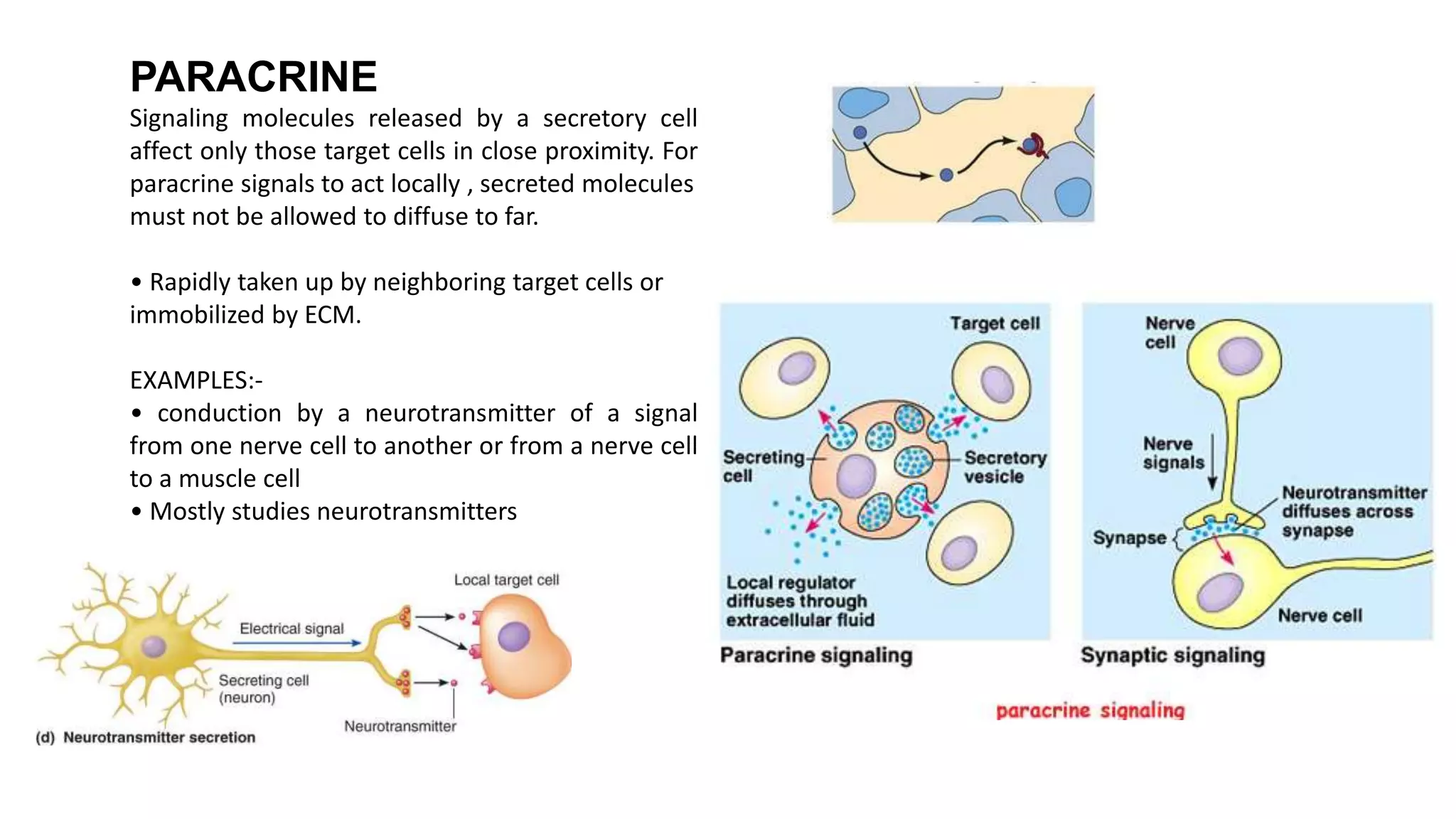 Cell signaling mechanism | PPTX
