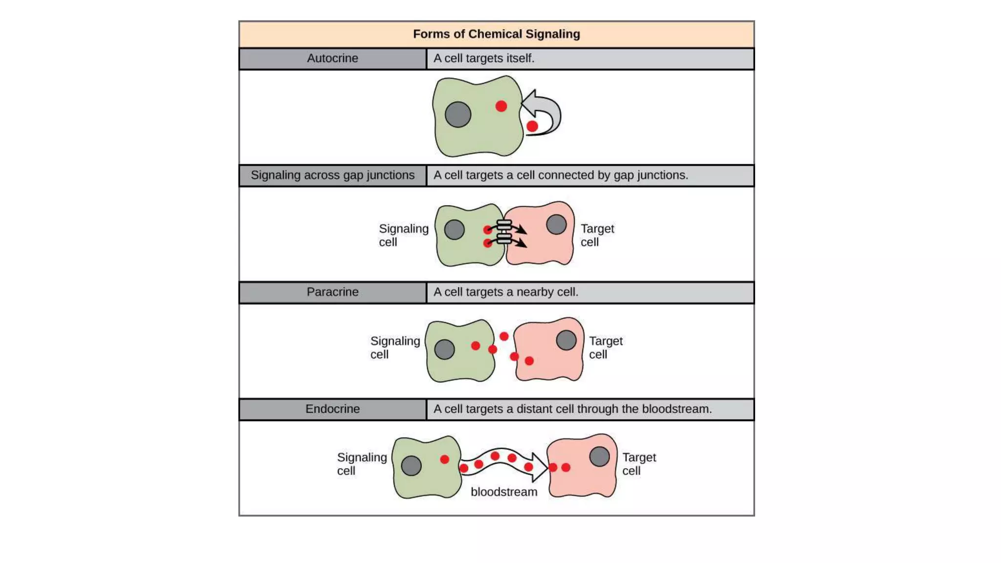 Cell signaling mechanism | PPTX
