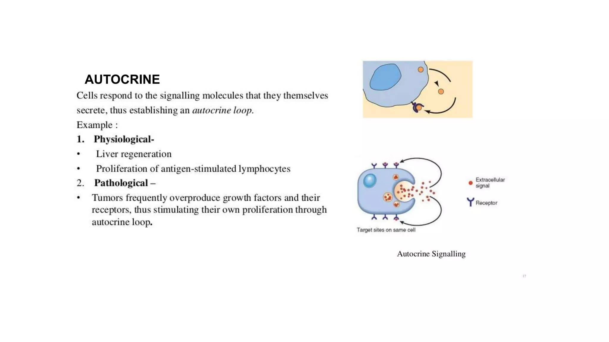 Cell signaling mechanism | PPTX