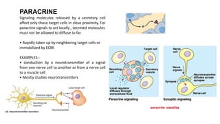 Cell signaling mechanism | PPTX