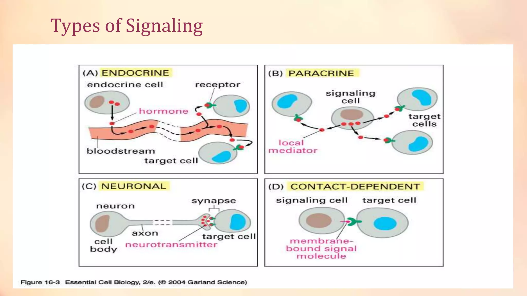 Cell signaling | PPTX
