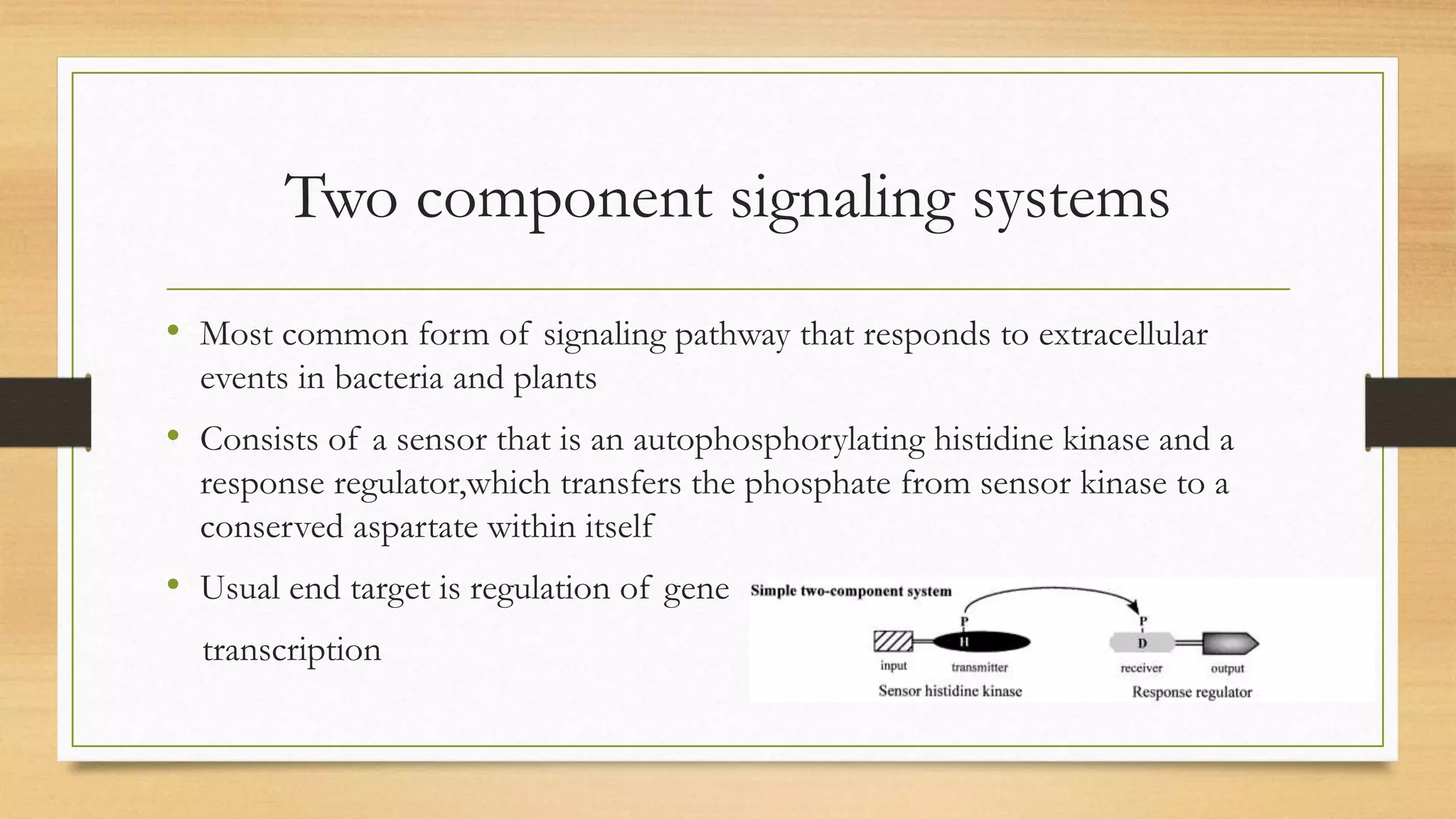 Cell signaling, cell biology | PPTX