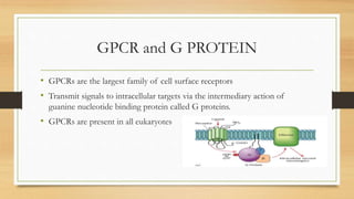 Cell signaling, cell biology | PPTX
