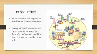 Cell signaling, cell biology | PPTX