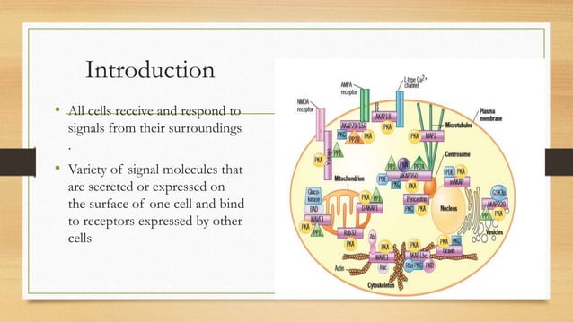Cell signaling, cell biology | PPTX