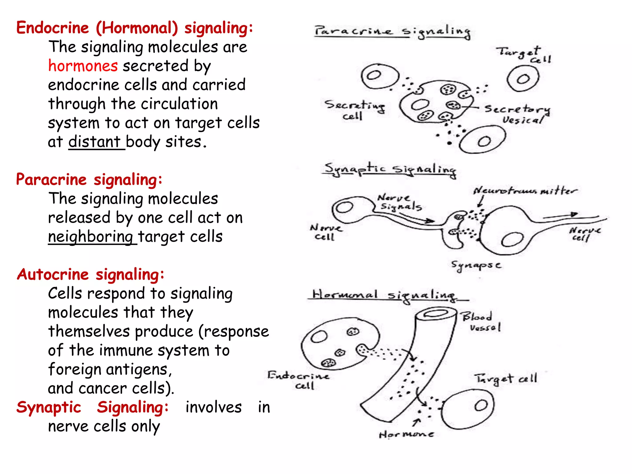 Cell signaling | PPT